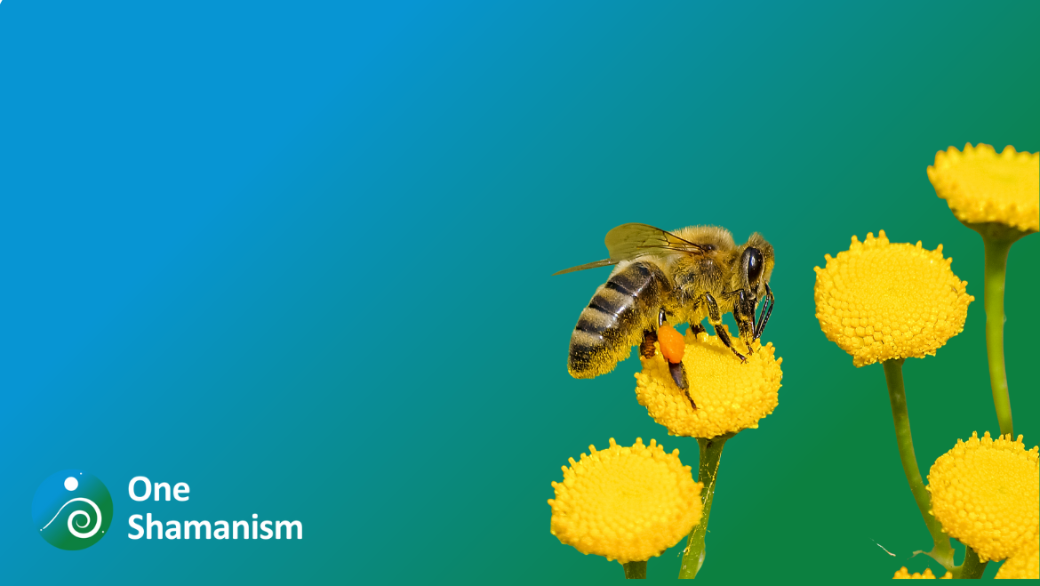 Spirit Animal Bee: Embracing Community | One Shamanism
