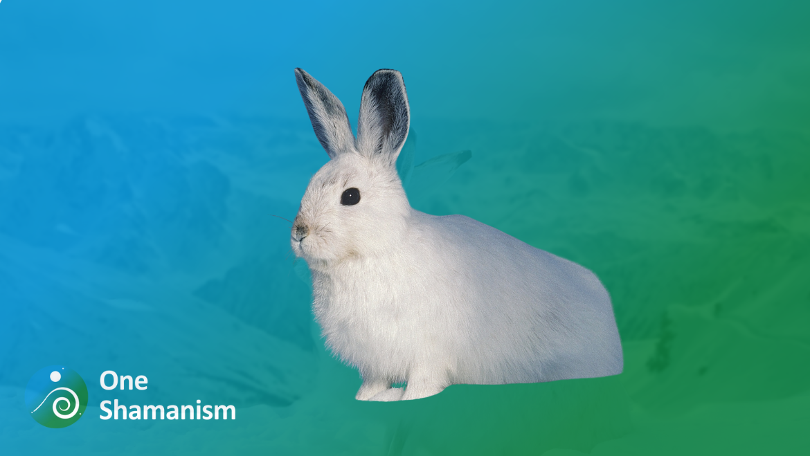 Spirit Animal Snow Rabbit: Purity & New Beginnings | One Shamanism